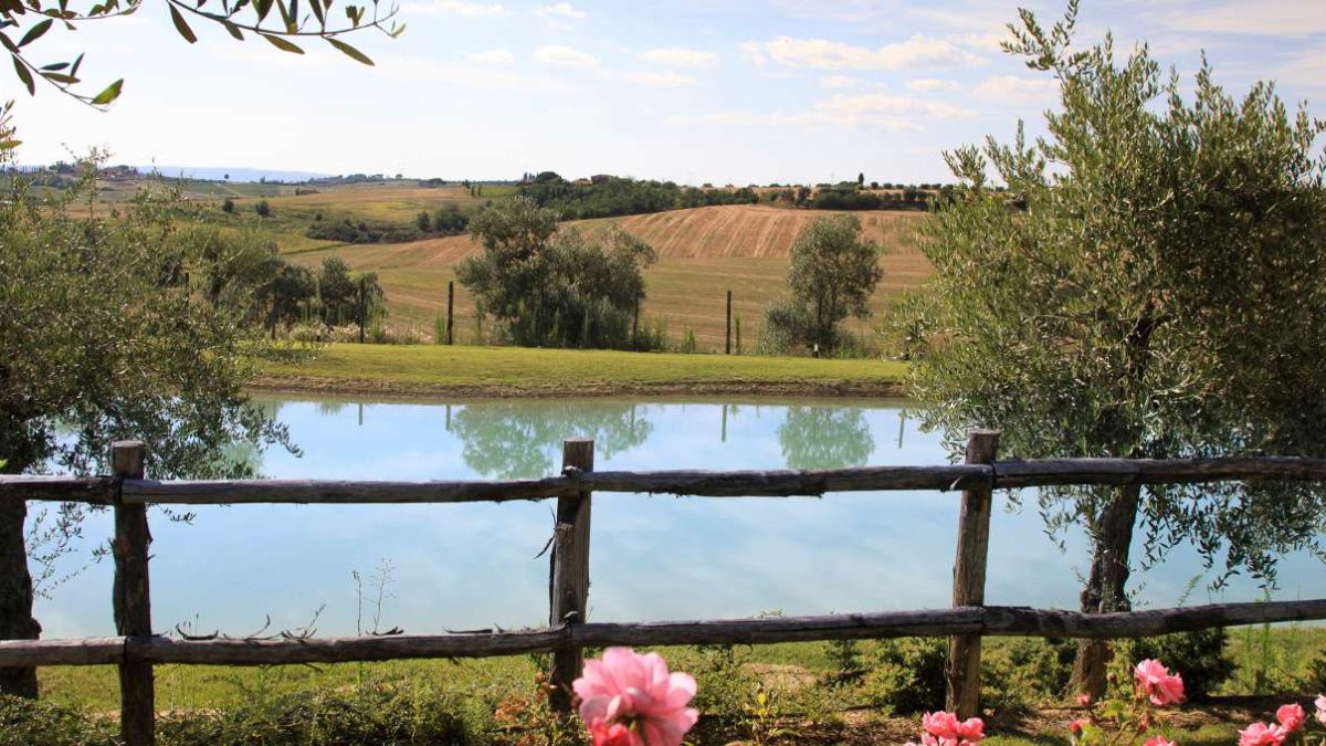 The Olive Park | Park with Lake | Tuscan Countryside